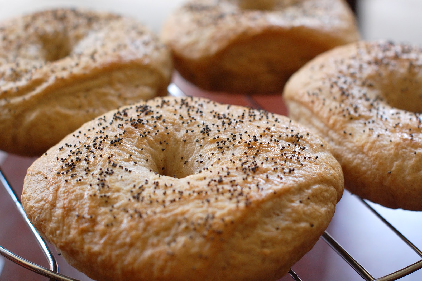 Sugar and Spice and Everything Nice: bagles