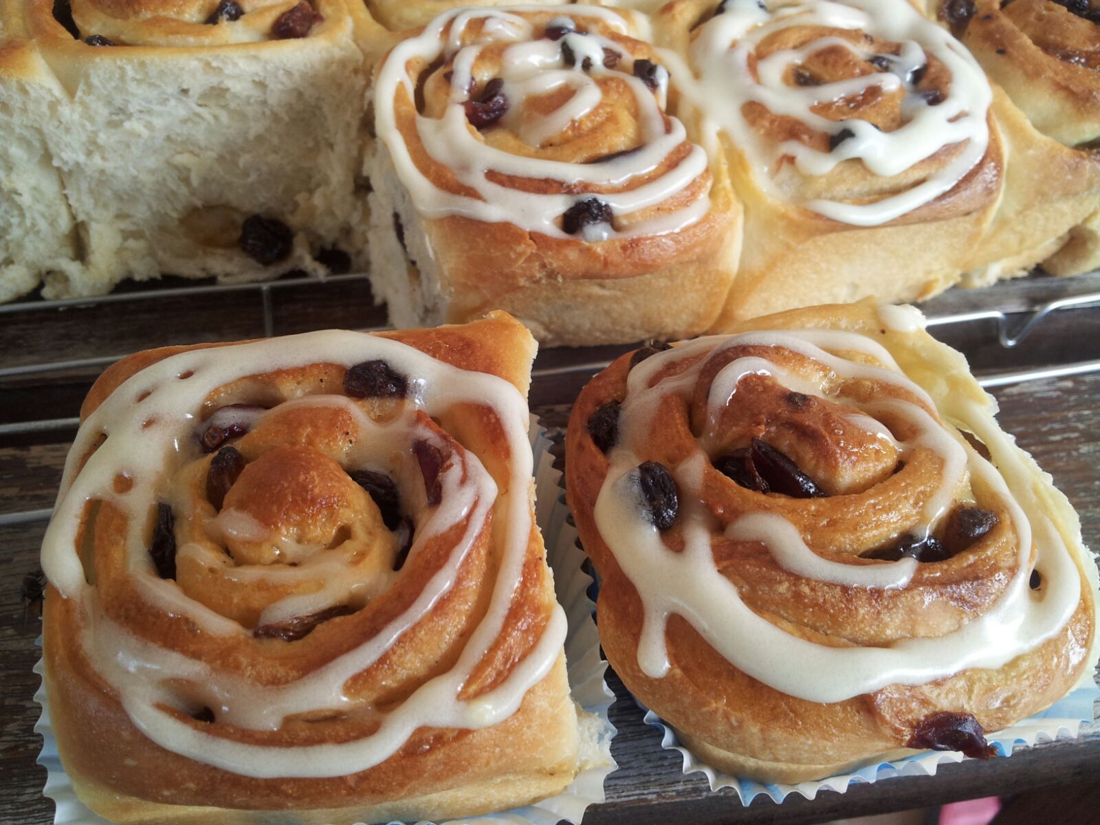 Hybrid Cinnamon Raisins Cranberries Rolls