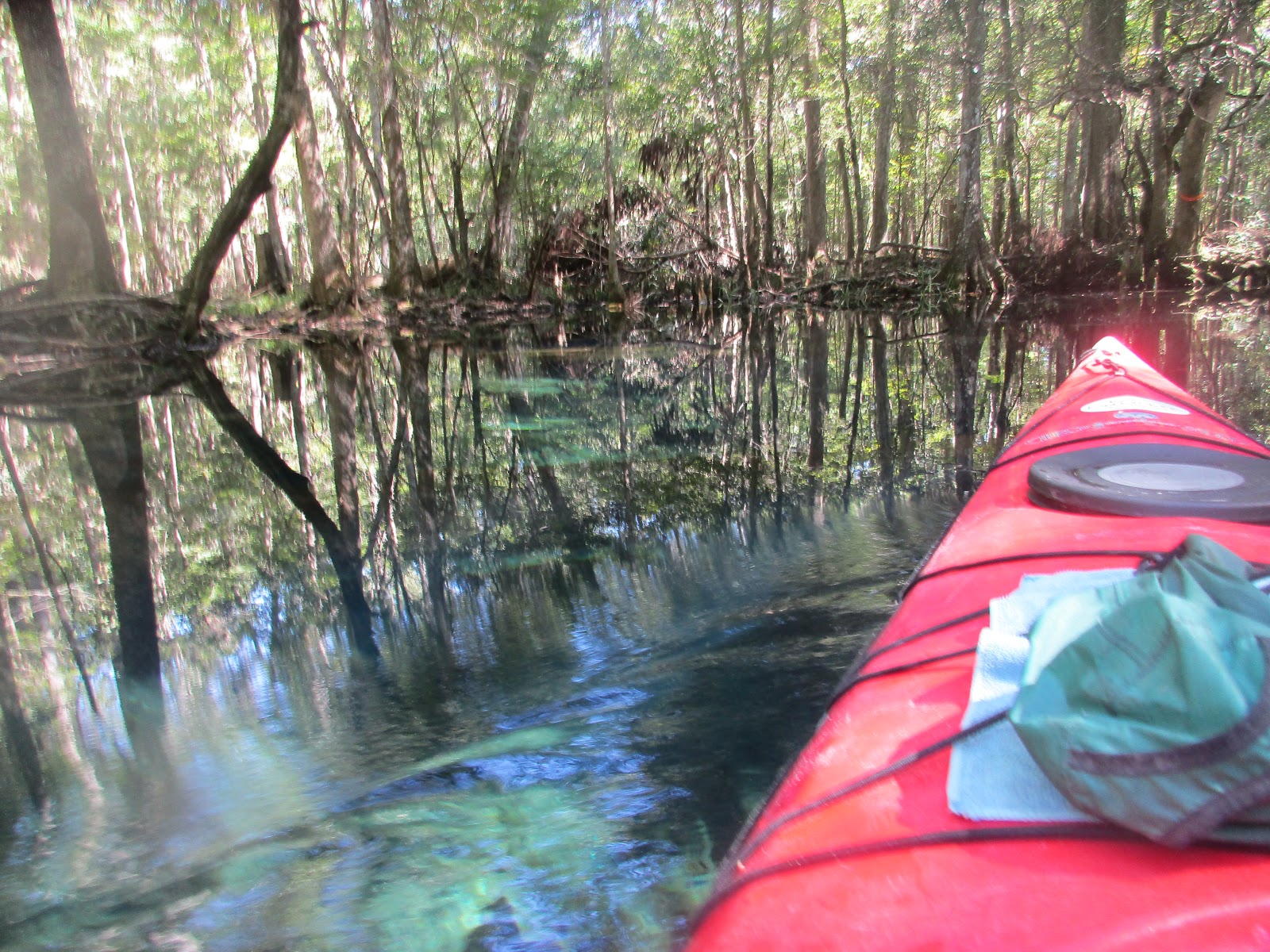 Dave's Yak Tales: Wacissa River