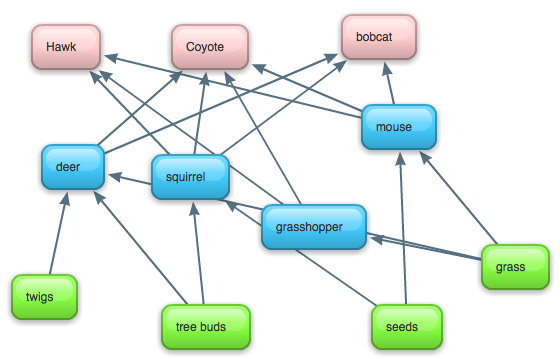 YEAR 5 - FOOD CHAIN & FOOD WEB