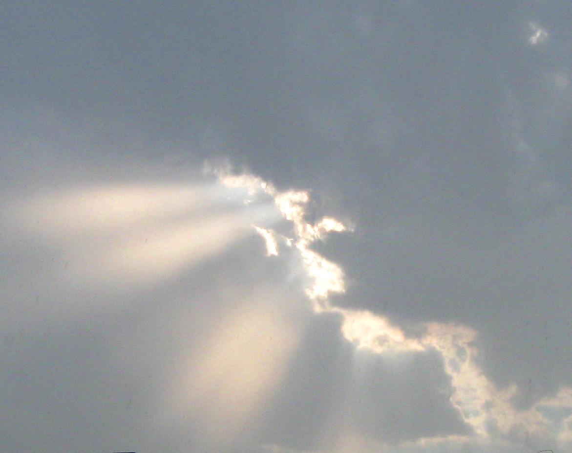 Hummer's Delight: Beautiful Sun Rays ... Day 220