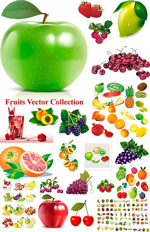 Best Vectors ClipArt: Over 100 Vector Clipart Of Fruit and Vegetable ...
