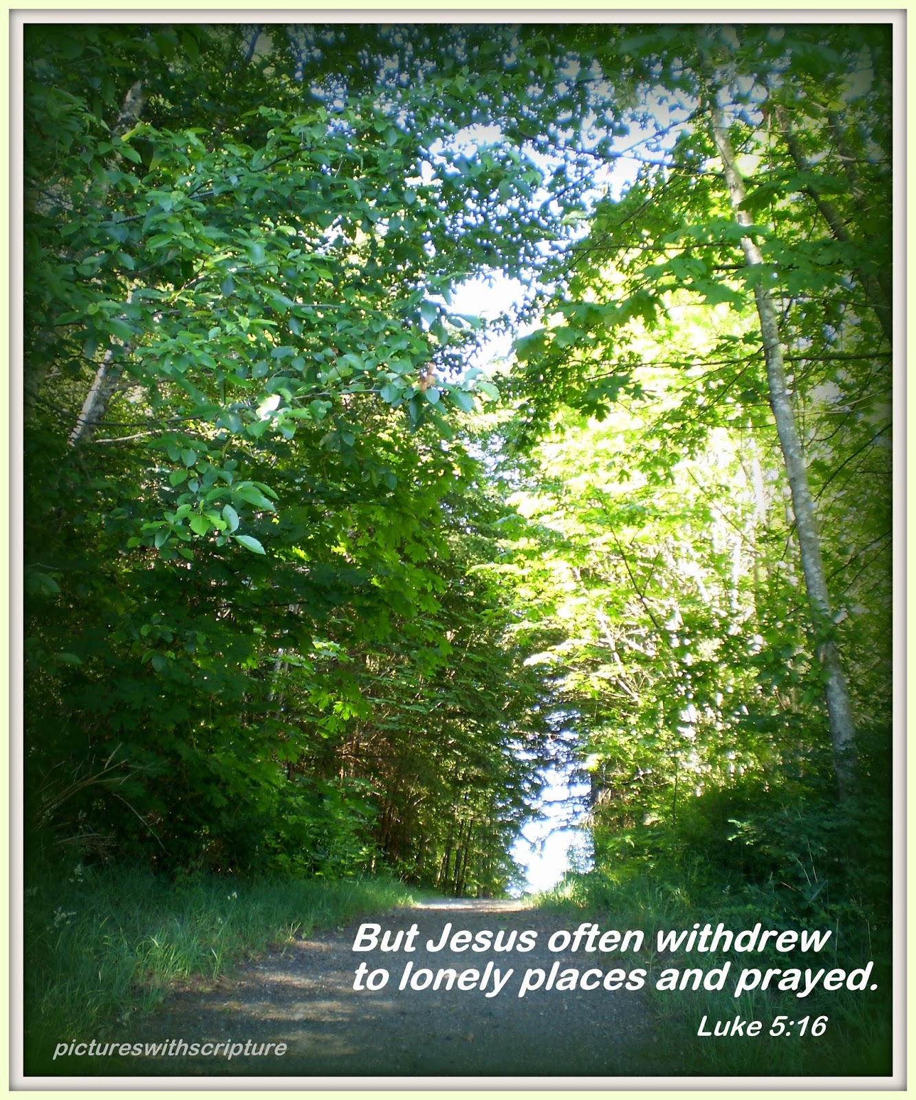 Pictures with Scripture: Luke 5:16