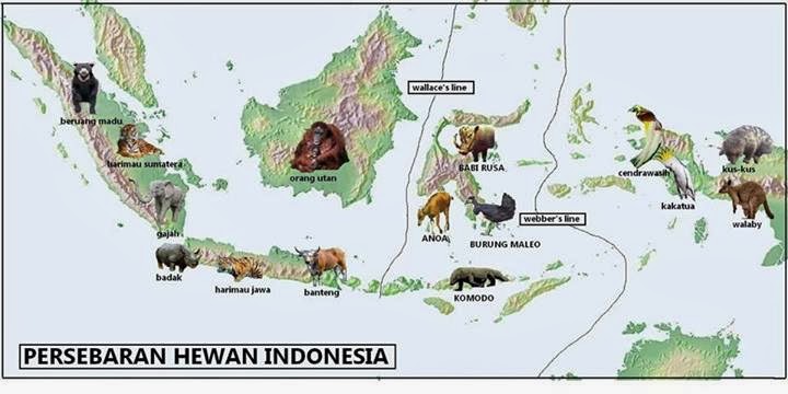 Weber and Wallace Line On indonesia | Indonesian Jungle's