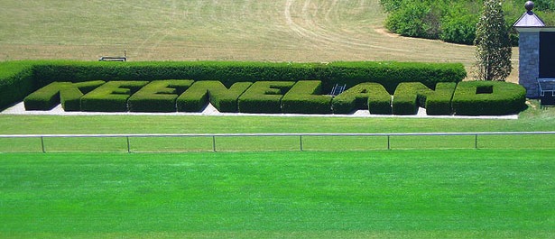 The Study Guide: Keeneland Basics