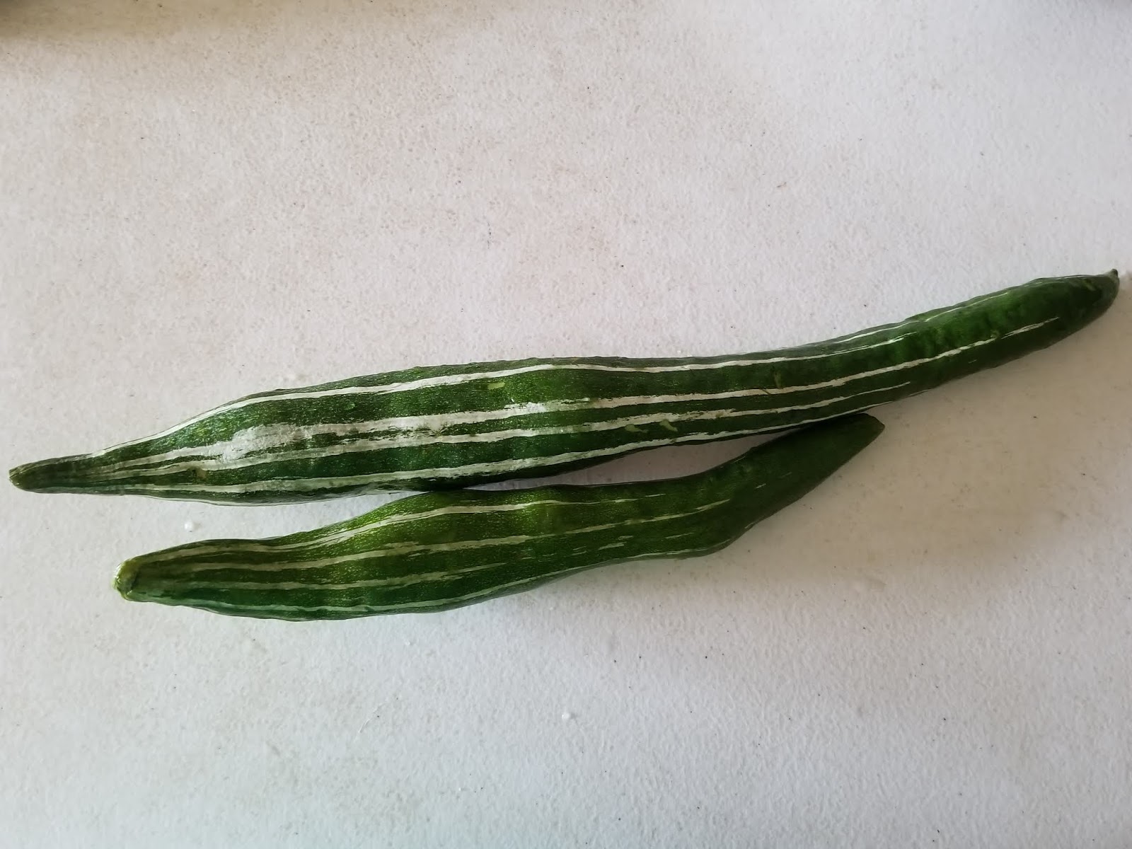 Kitchen With a Purpose: Chichinge Posto Recipe or Snake Gourd Recipe