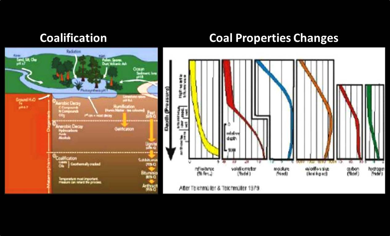 Geologi Pembentukan Cbm (Coal Bed Methane) - JURNAL KU