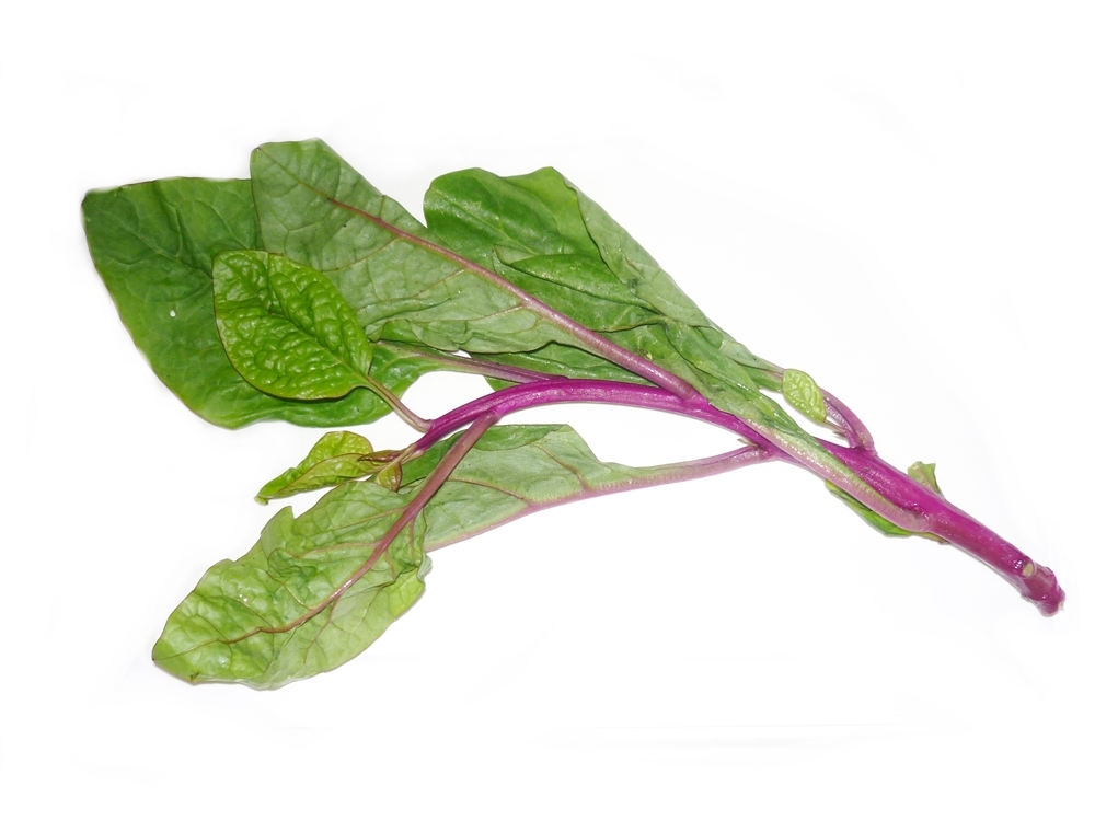 aunty celia's family meals: Red stemmed emperor vegetable (王帝菜) soup