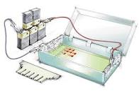 Elektroforesis dan Permasalahannya | Kimia is the Special 1