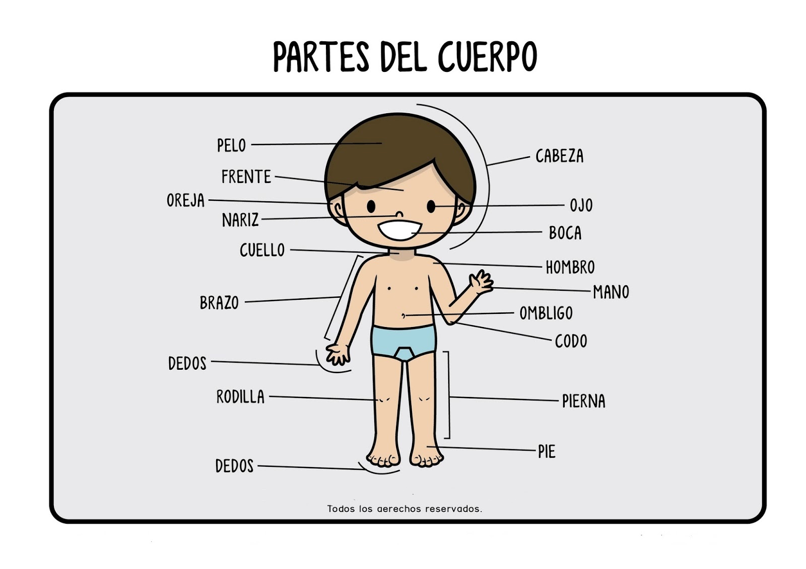 El cuerpo y la propia imagen de 3 a 6 años: COMO ENSEÑAR LAS PARTES DEL ...