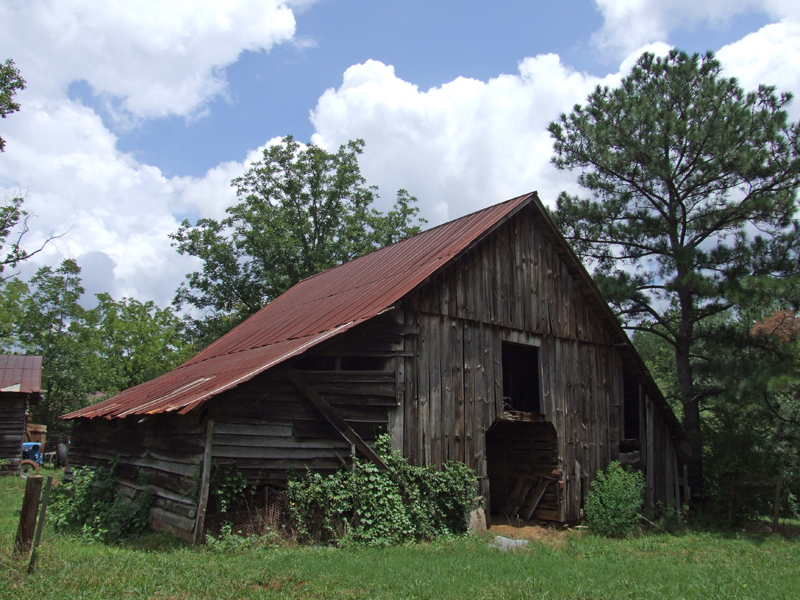 view from the thirteenth floor: hyde farm