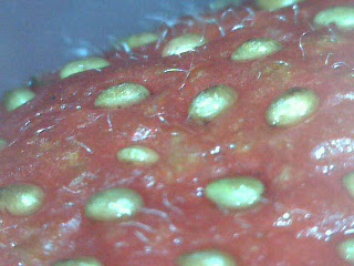 Under the Microscope: Strawberry
