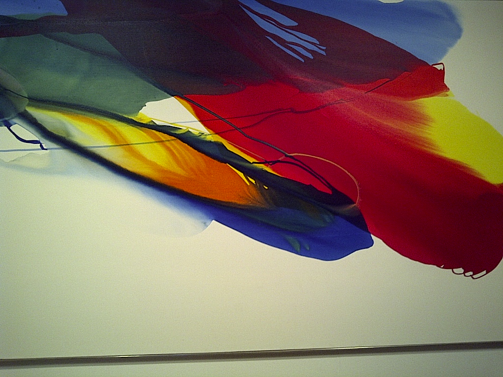 DEBU BARVE ART BLOG: R.I.P. Paul Jenkins