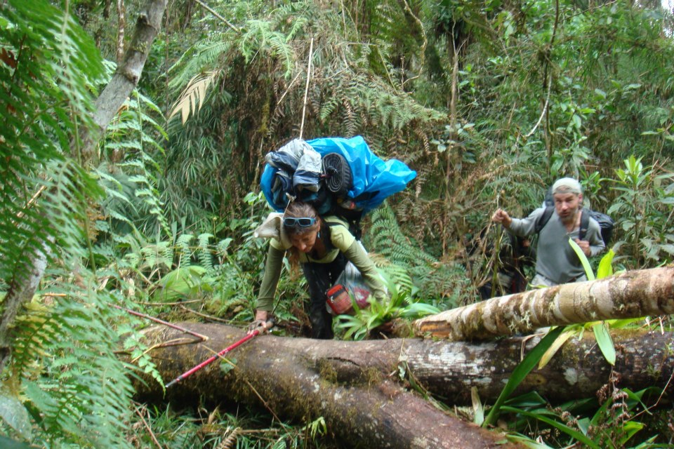 CEAC: CAMINO PRECOLOMBINO DEL YUNGA CRUZ