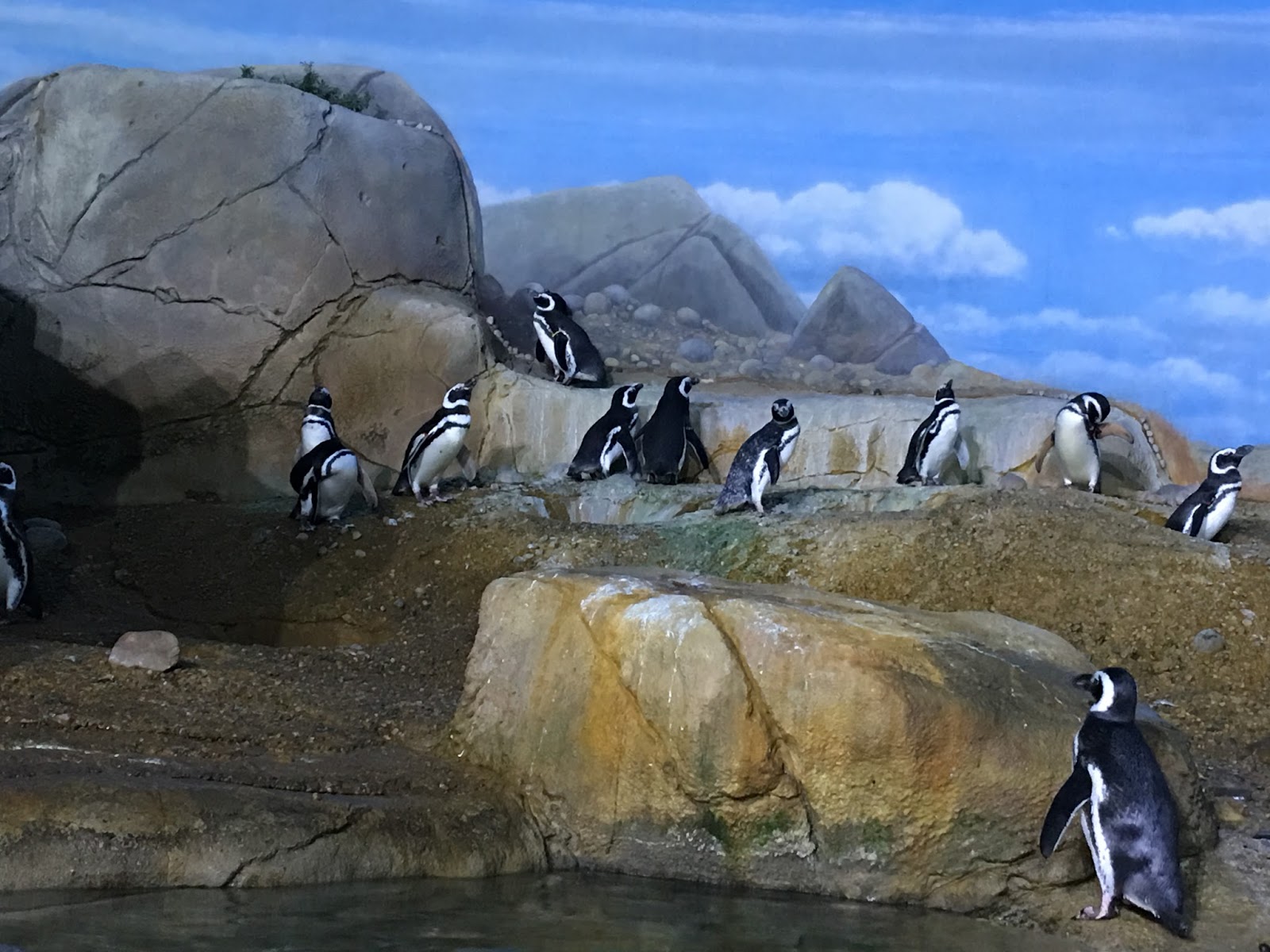 Sharing our lives....: November 2016