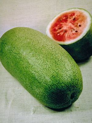 Semillas Venezuela Oficial: Patilla Híbrida Charleston Grey de Seminis