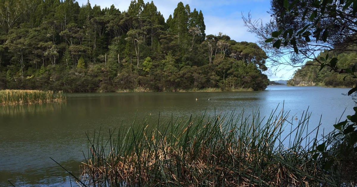 Solvitur Ambulando: Piha Rd car park – Upper Huia Dam Track – Upper ...