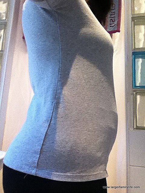 Twin Pregnancy Diary - 12 weeks 5 days | Larger Family Life - Life ...