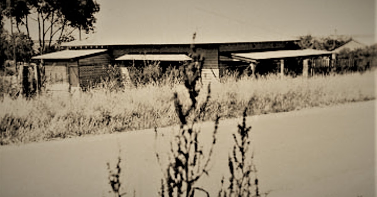 The Behrens Family: Alice Powrie