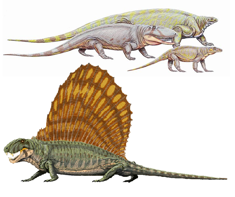 Verum Scripta: La era de los pelicosaurios