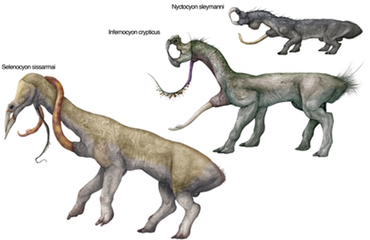 Notion of Evolution: Evolution of the Pentadactyl Limb