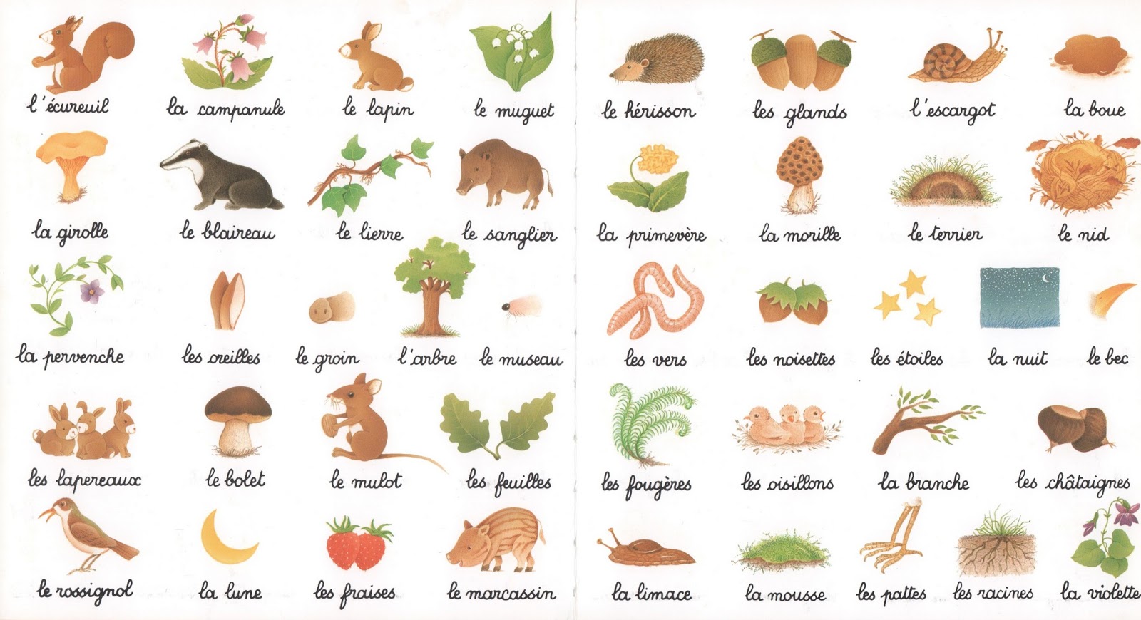 école : références: Je lis avec les animaux de la forêt