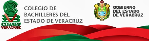 Mi estancia en el Cobaev plantel 46