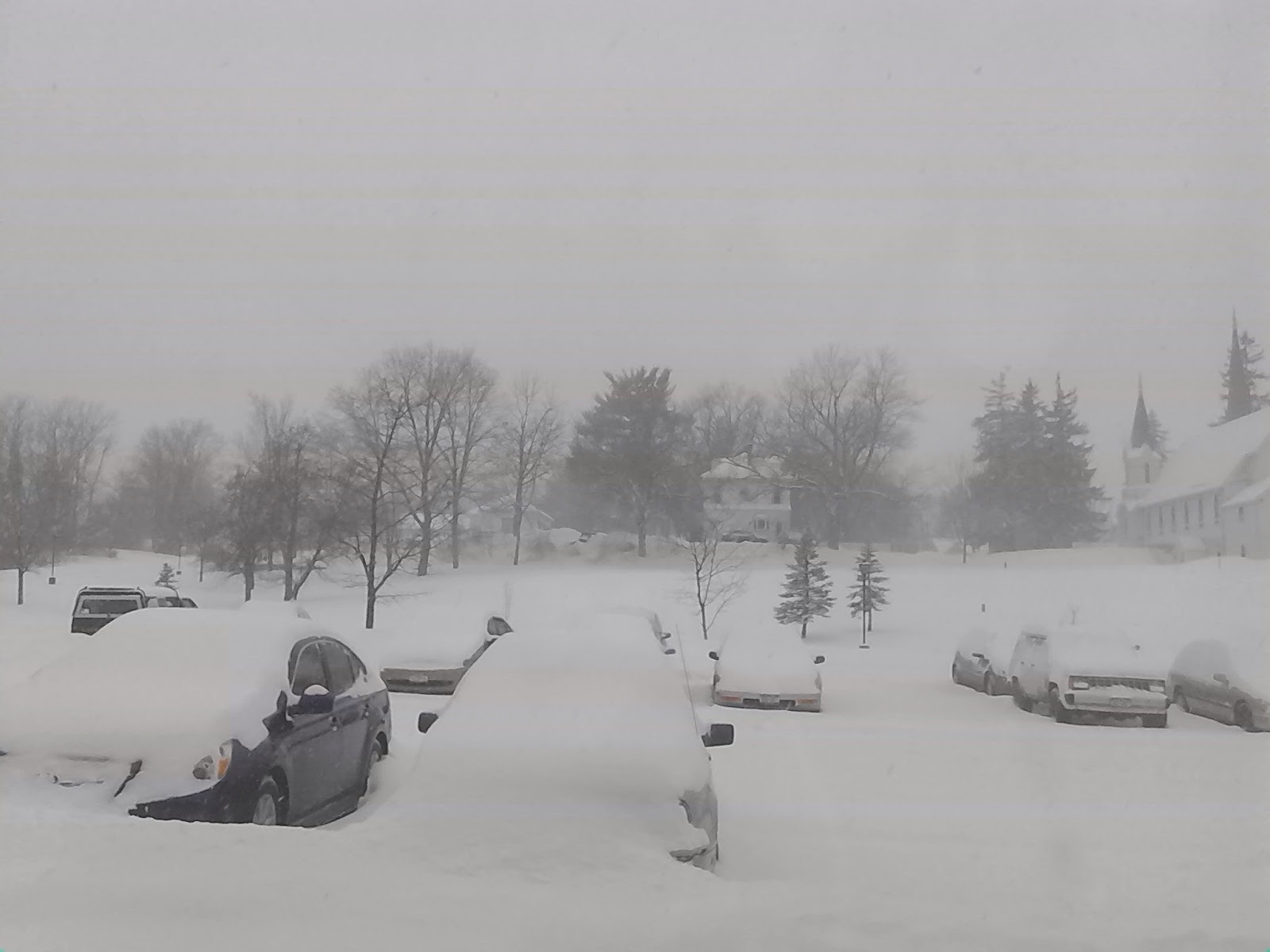 Treasures By Toni: Yesterday's Snow Storm