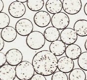 Art Quill Studio: Man-Made Synthetic Fibers - Nylon[1-3]Art ...