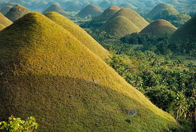 Bohol Tourism Info: Chocolate Hills