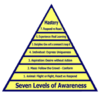Purpose Vision Goals: The 7 levels of awareness