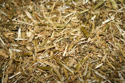 Horse Life and Love: Types of Feed