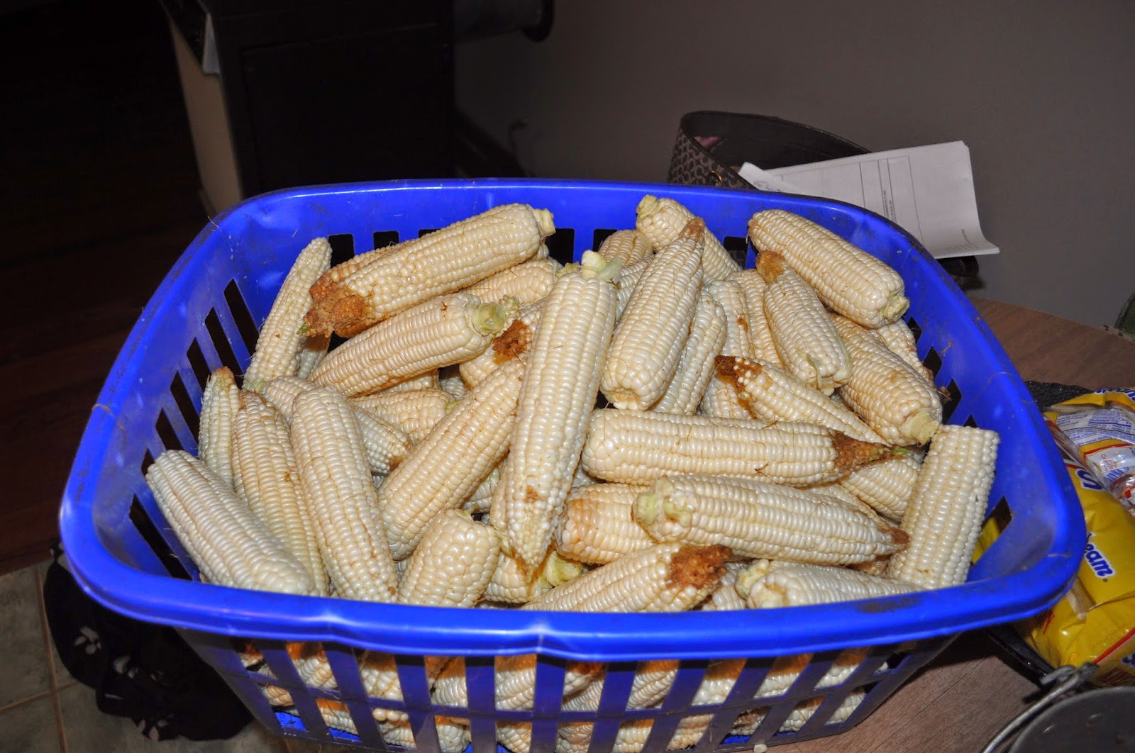 Michelle's Webb: Putting up Corn