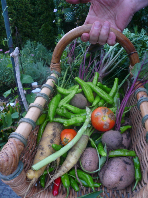 Garden Glamour by Duchess Designs