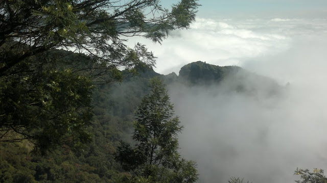 Tamilnadu Tourism: Mathikettan Solai, Kodaikanal