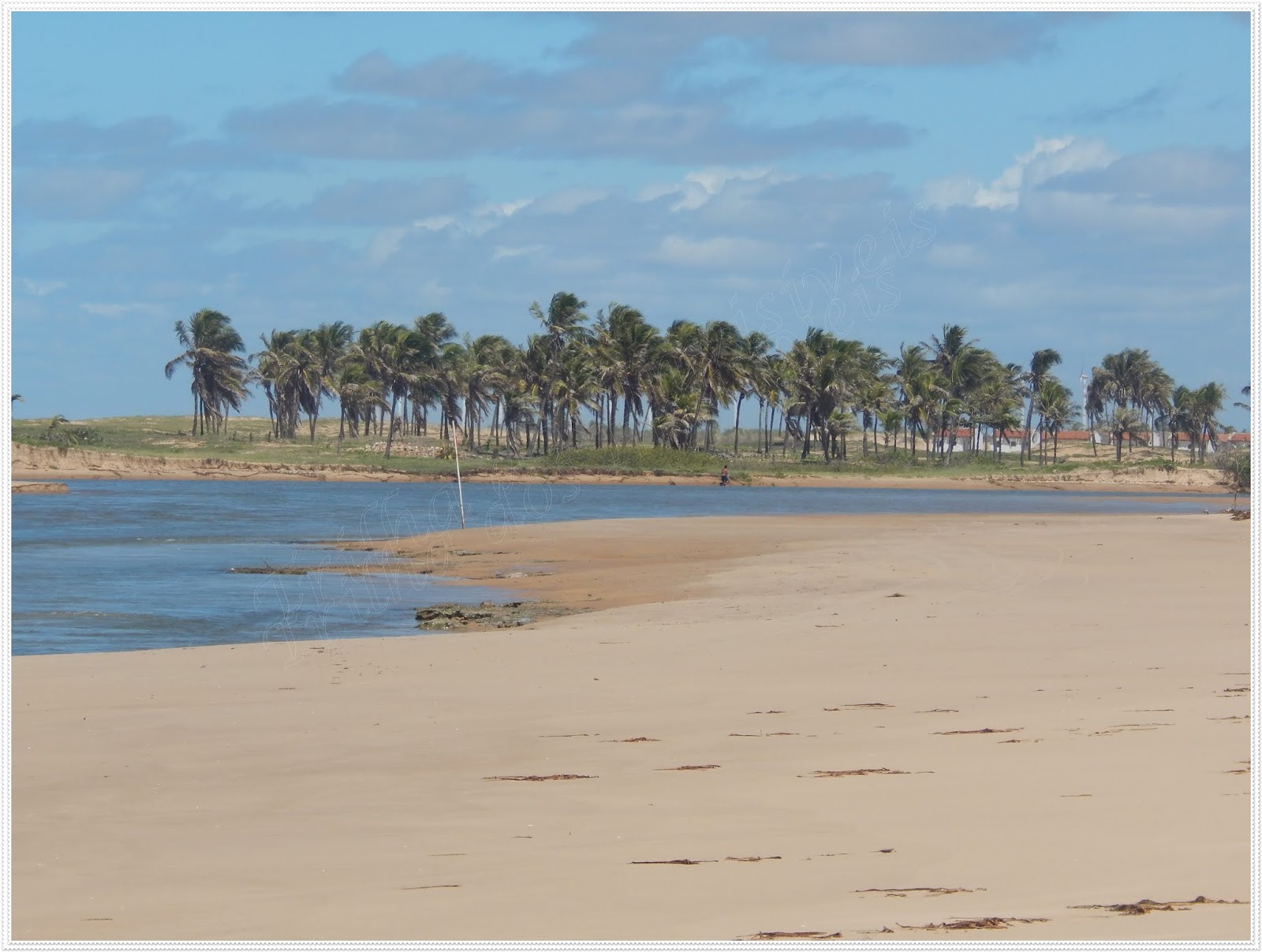 trilha dos invisíveis : Praia de Pirambu - SE