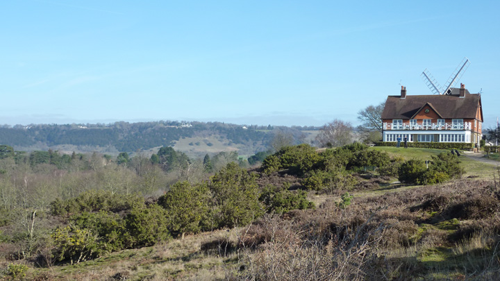 Reigate Heath