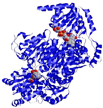 Sandwalk: Evolution of a New Enzyme