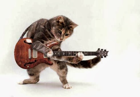 Cute Funny Animalz: Funny Animals Playing Guitar New Nice Images 2013