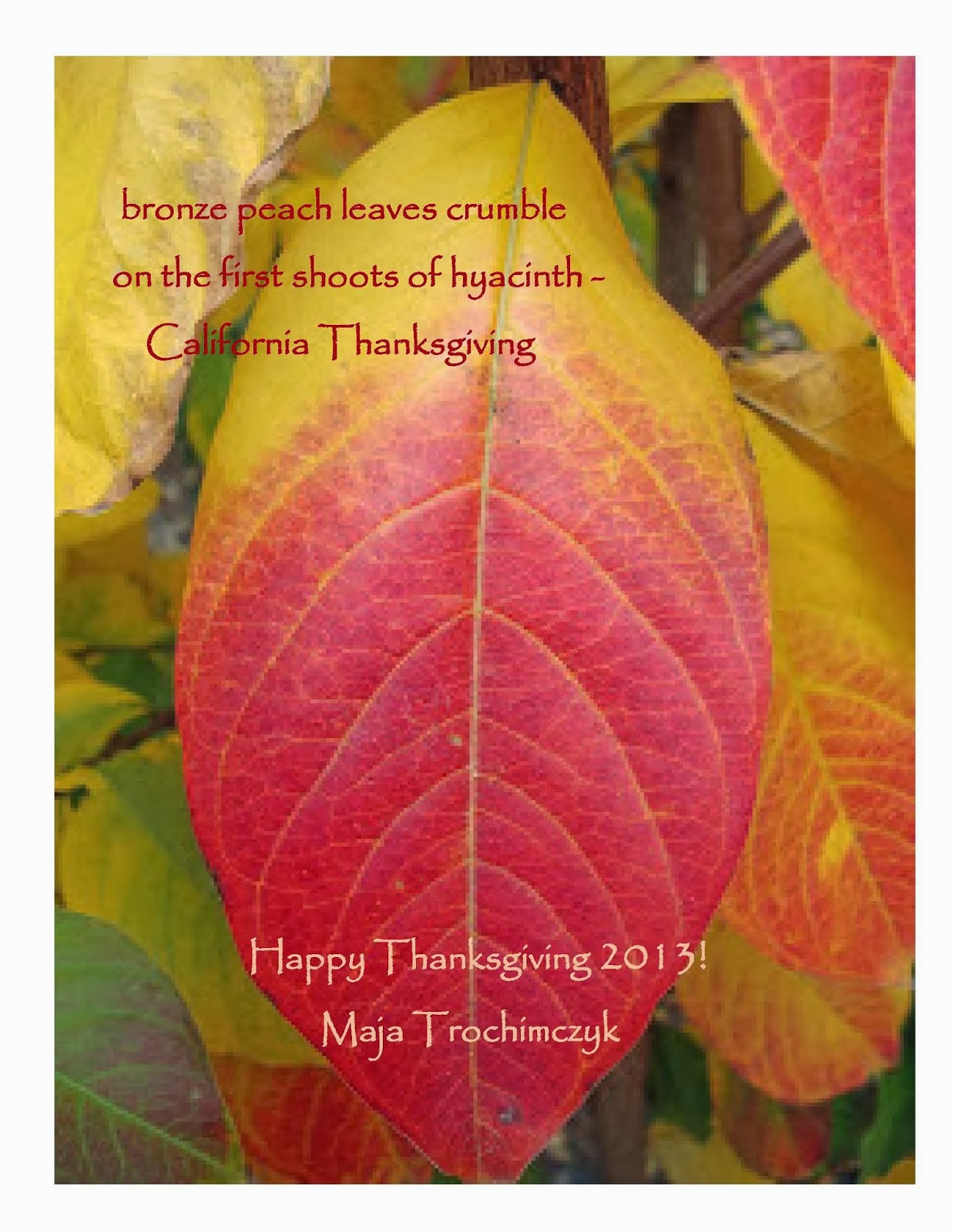 Poetry Laurels: What are We Thankful for? Autumn Leaves, Whitman ...