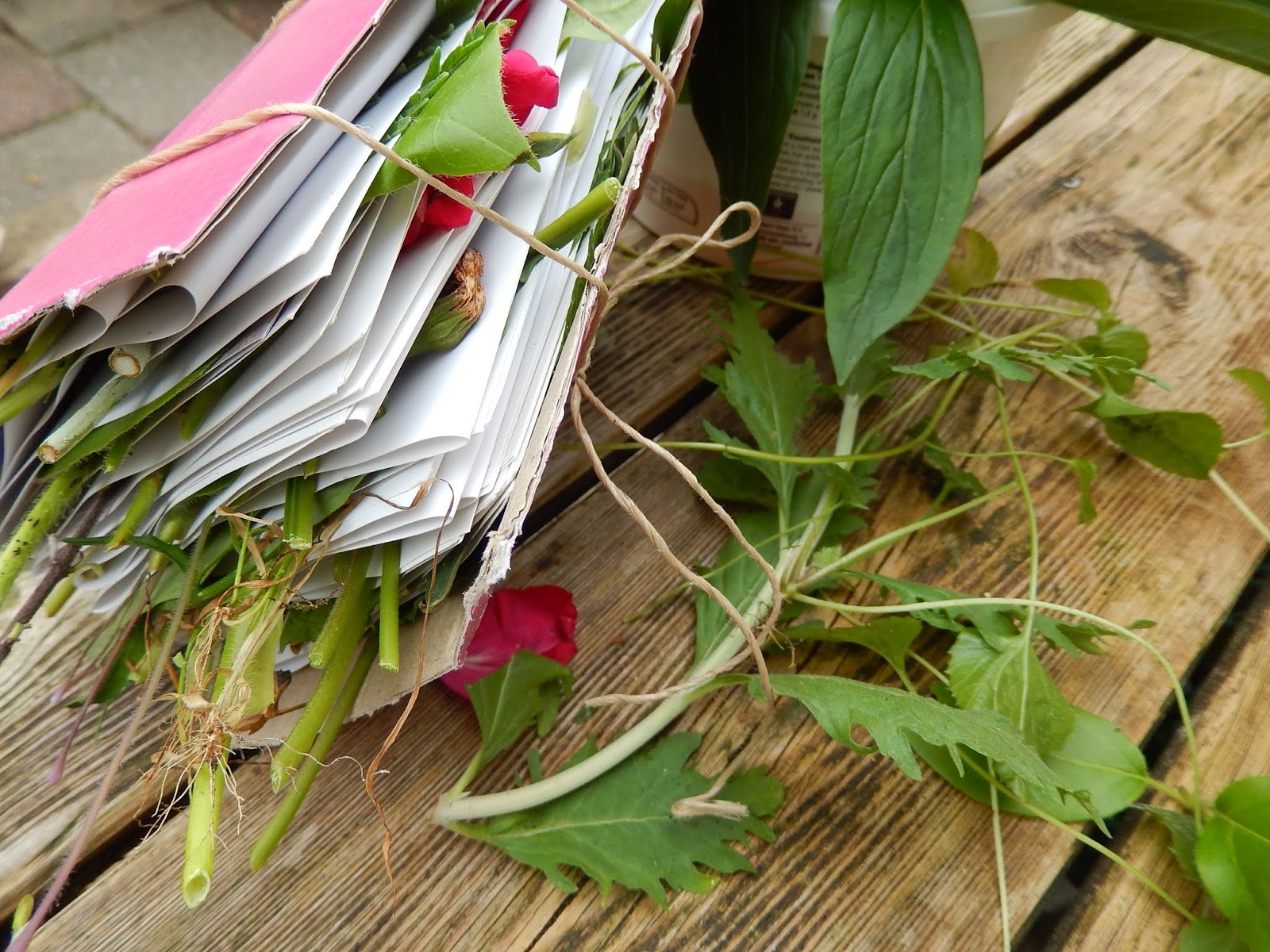 cs maakt - made by CS: Dried papers-Eco Printing.