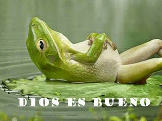 Cómo disfrutar el contentamiento | CAMINO DE VIDA ETERNA