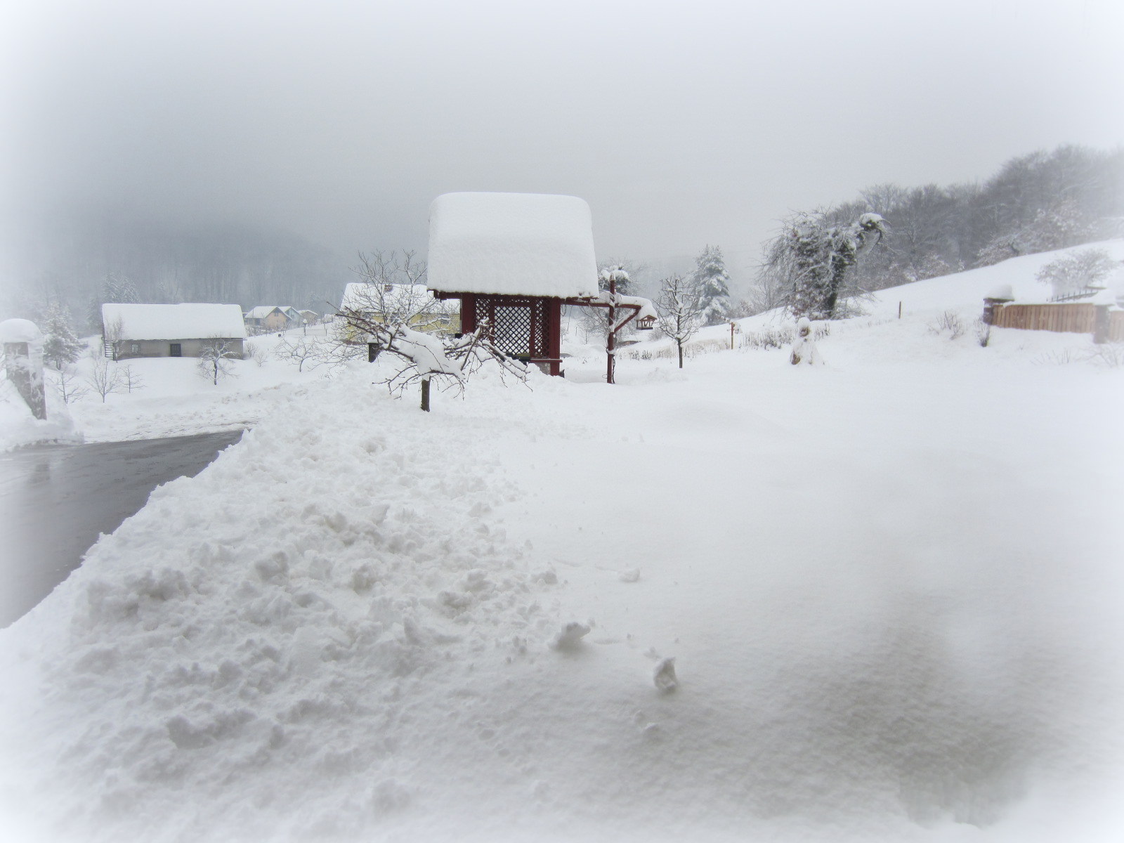 Hali: Sneg, sneg, sneg