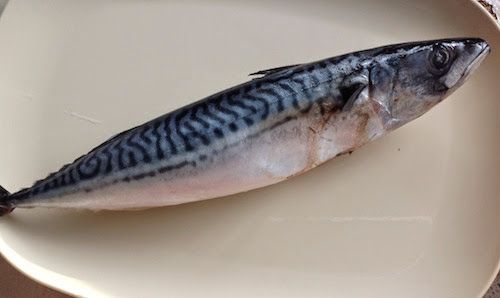 RiRi's Food Blog: Madame Titus! Yes, you got that right it's a fried ...