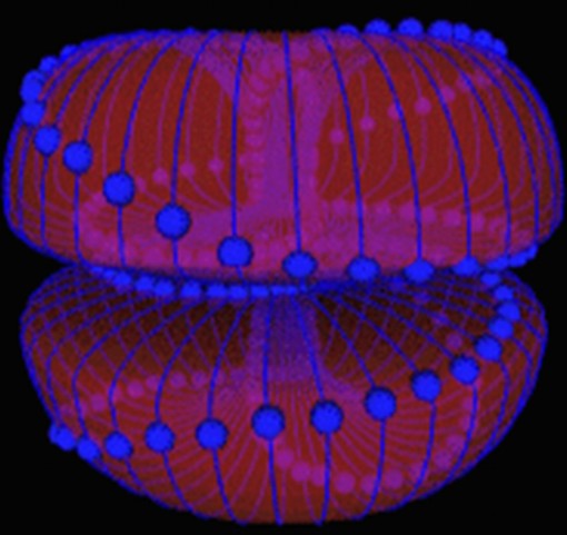 Orgonitas Canarias: Matemáticas Vorticiales (Vortex Based Mathematics)