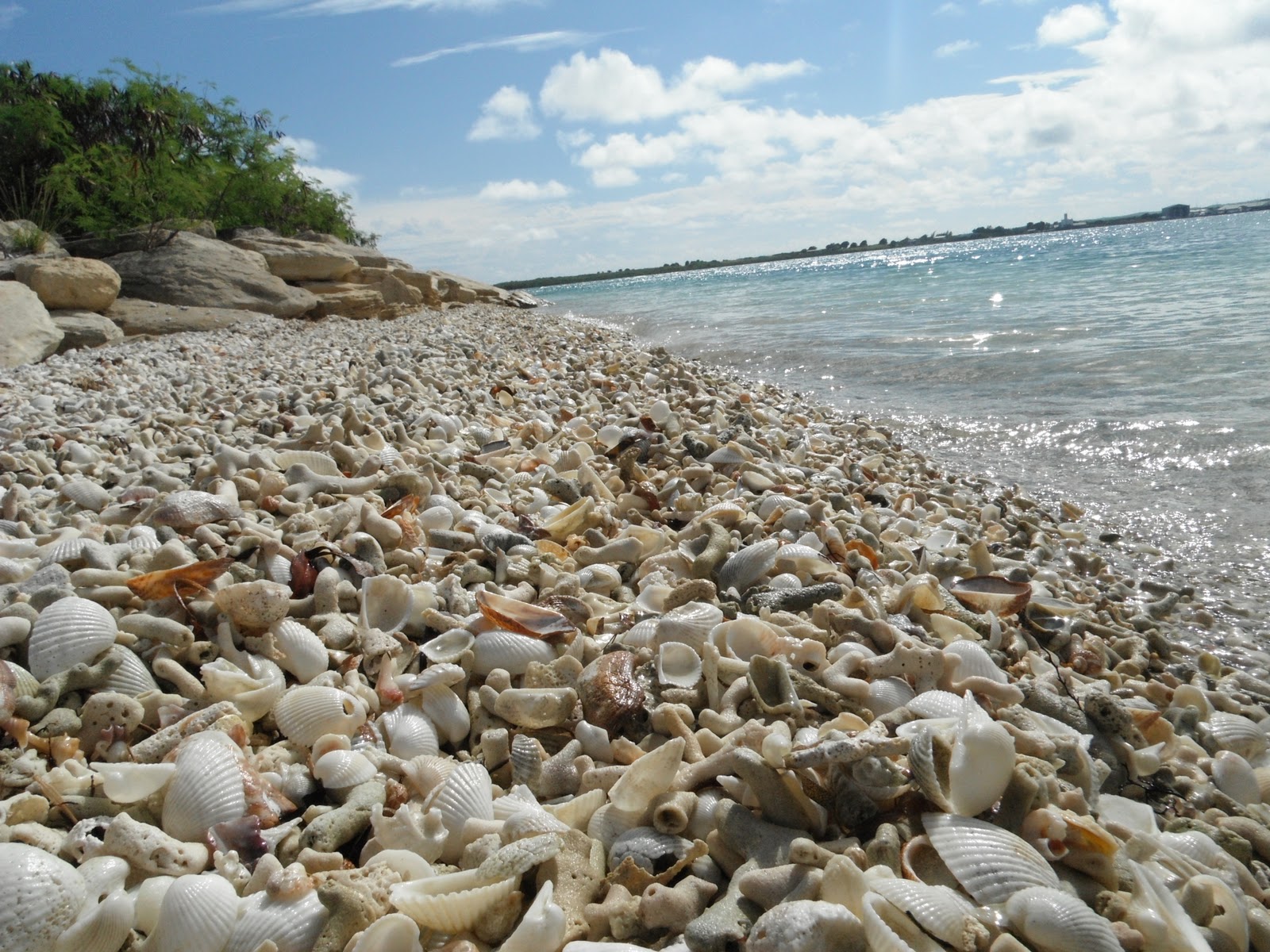 Borealis: Day 144- Long Island, Antigua