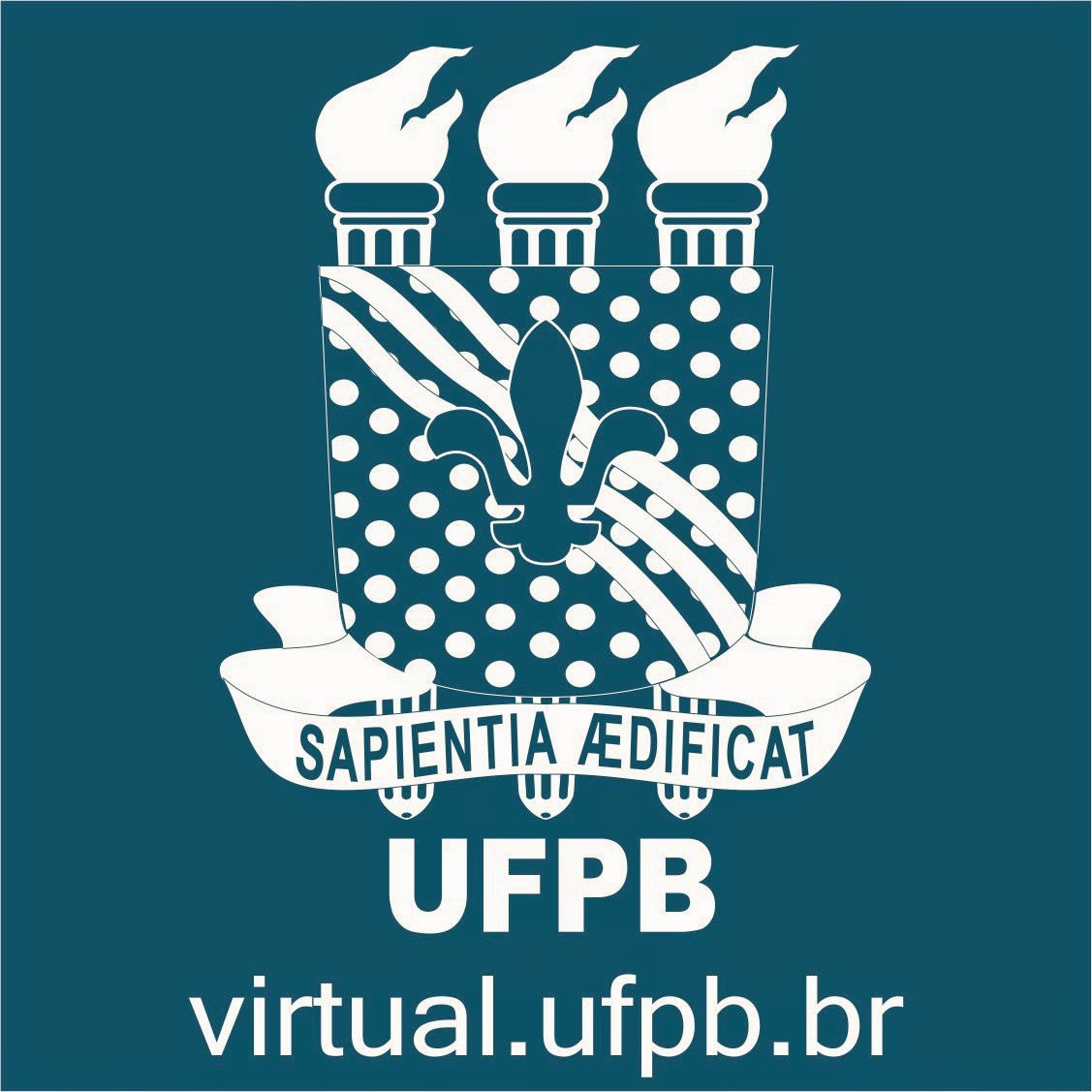 POLO UAB LIMOEIRO-PE: Acervo de livros digitais é disponibilizado pela ...