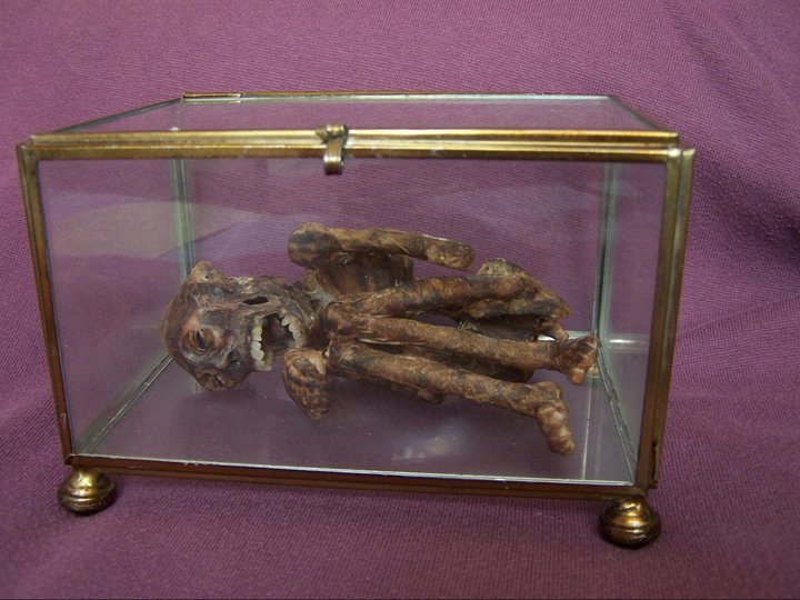 El Dodo Albino: Creepy thing WIP 2 .Mummified fairy corpse.