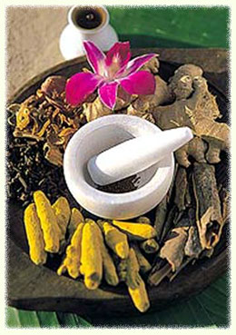 Get Much Information: Ayurvedic Instrument