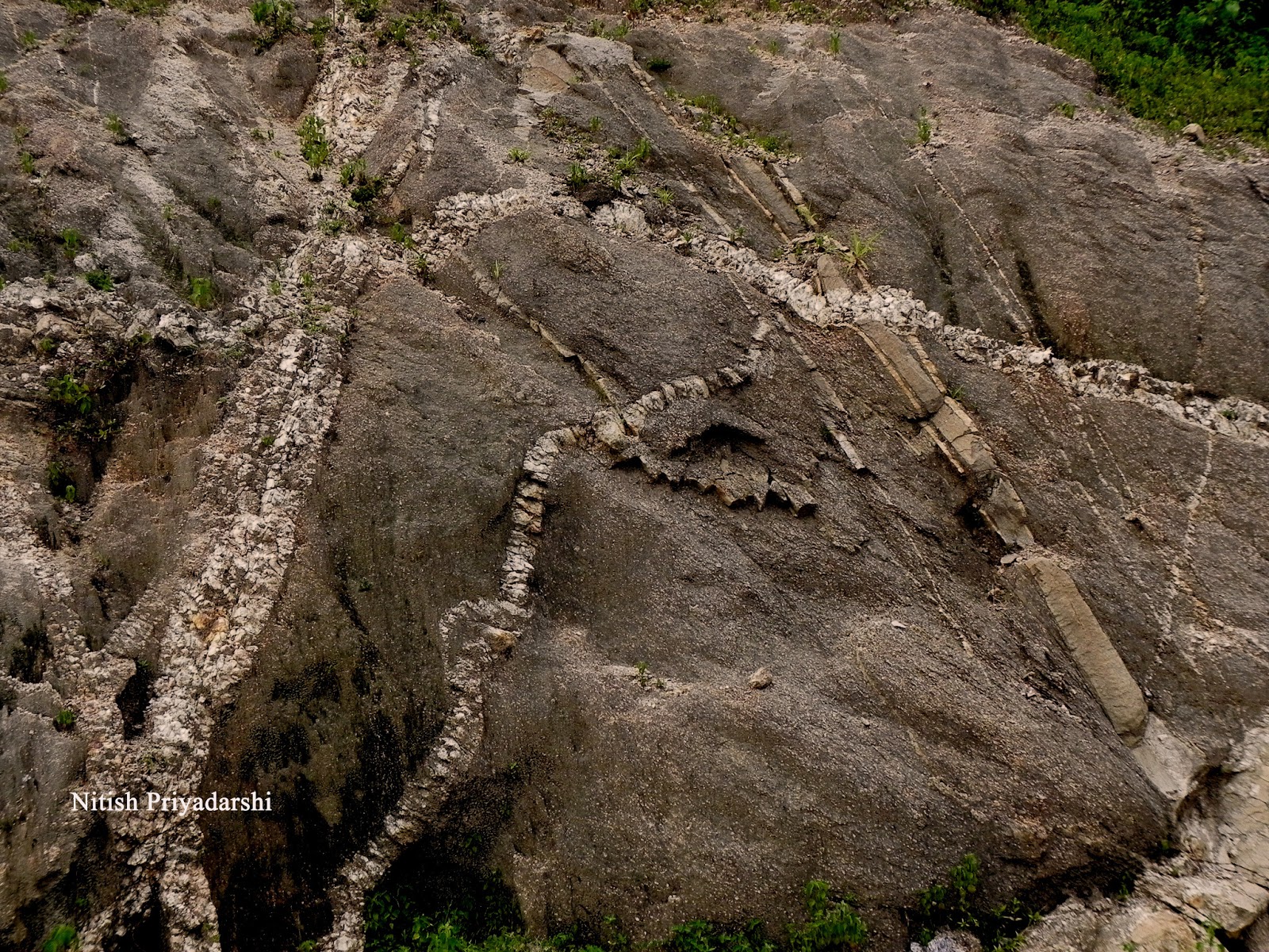 Environment and Geology: Geological history and the importance of pegmatite veins.
